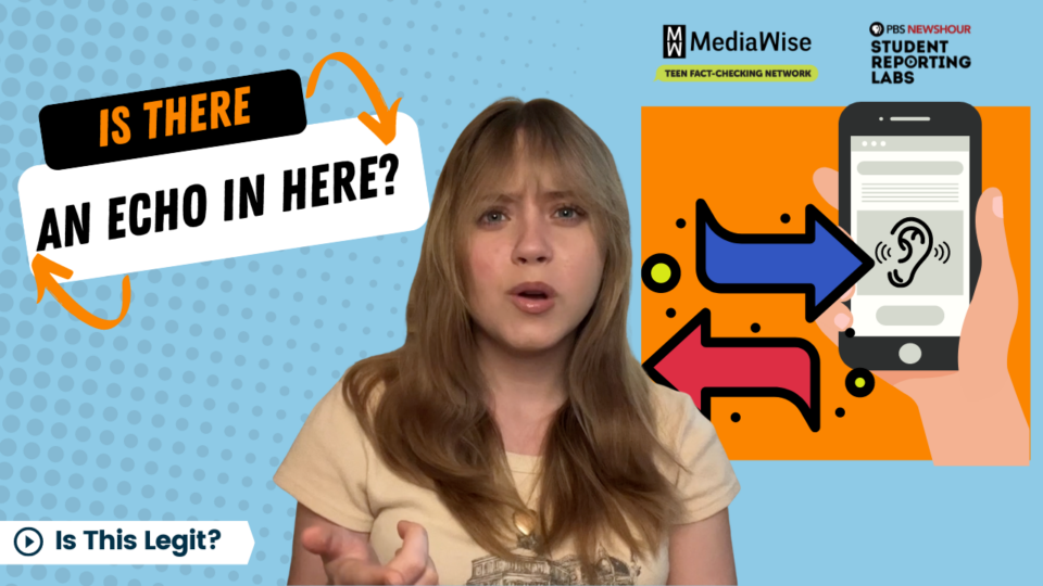 Echo chambers: how they’re created and how to avoid them - Poynter